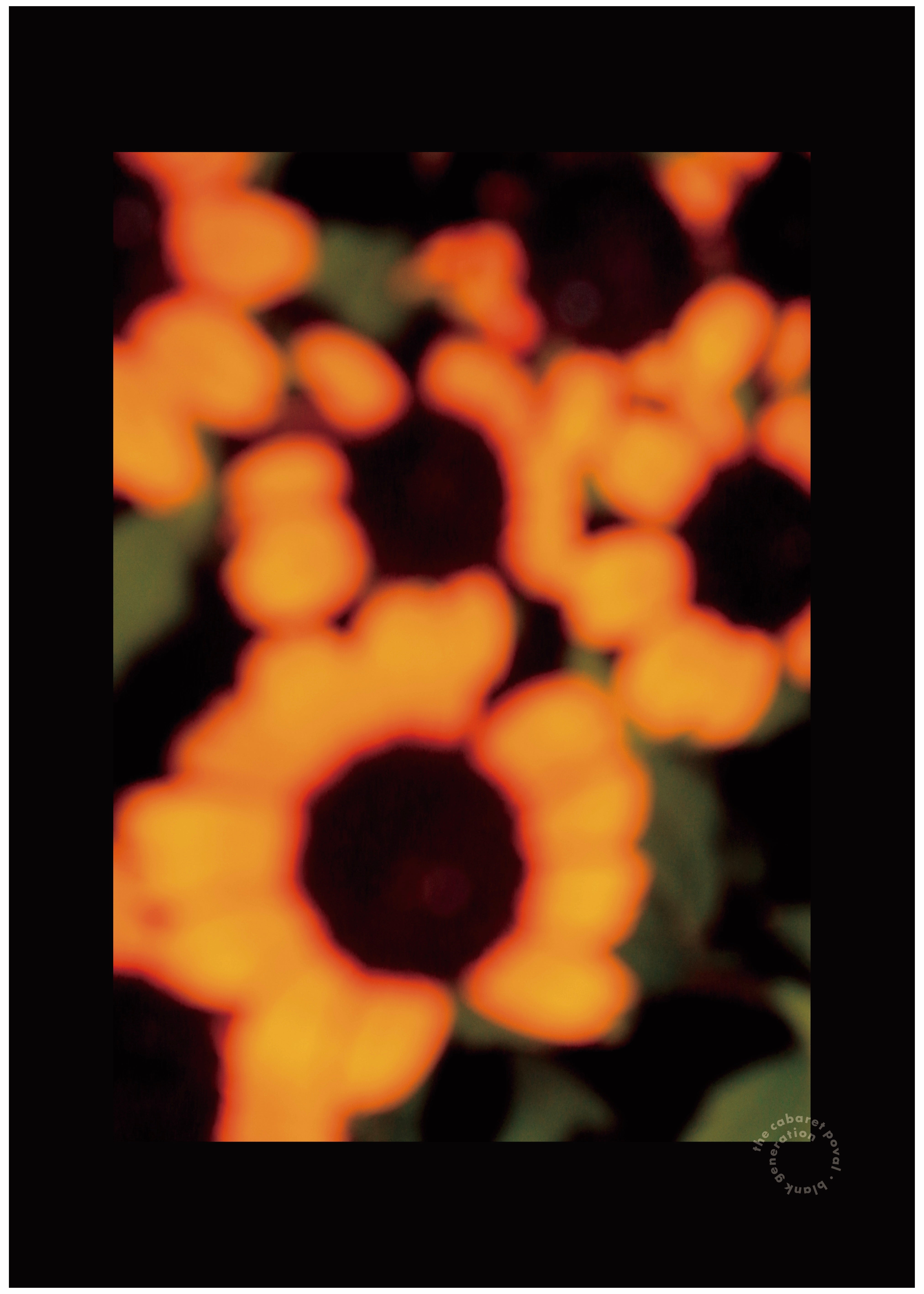 CABARET POVAL（キャバレーポヴァール）EMIRP Poster - 通販 – process